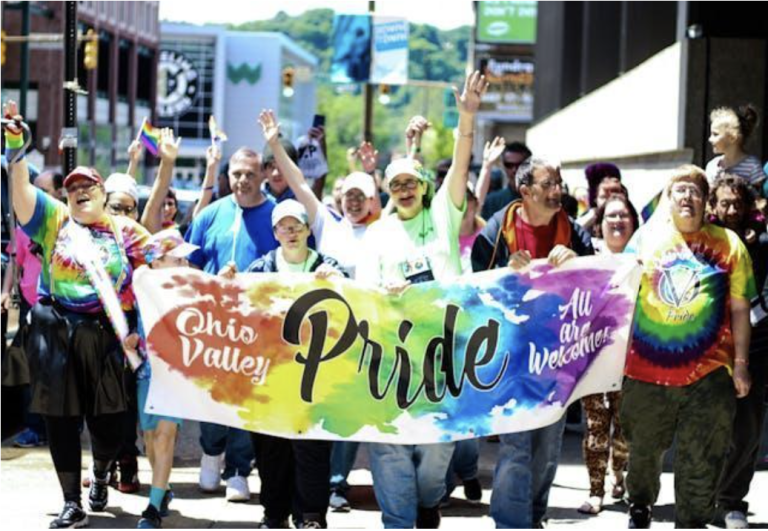 The Power of Pride: LGBTQ+ Activism and Community Organizing. - Pride ...